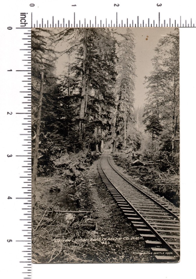 Real Photo Postcard RPPC Logging Railroad Railway Clallam County ...