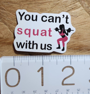 Fitness Sticker Weight lifting Sticker Gym Decal Exercise Workout Body ...