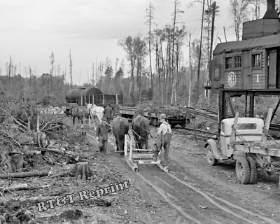 Photograph Minnesota Logging / Loggers Year 1937 8x10 | eBay