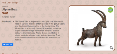 Alpine Ibex Facts
