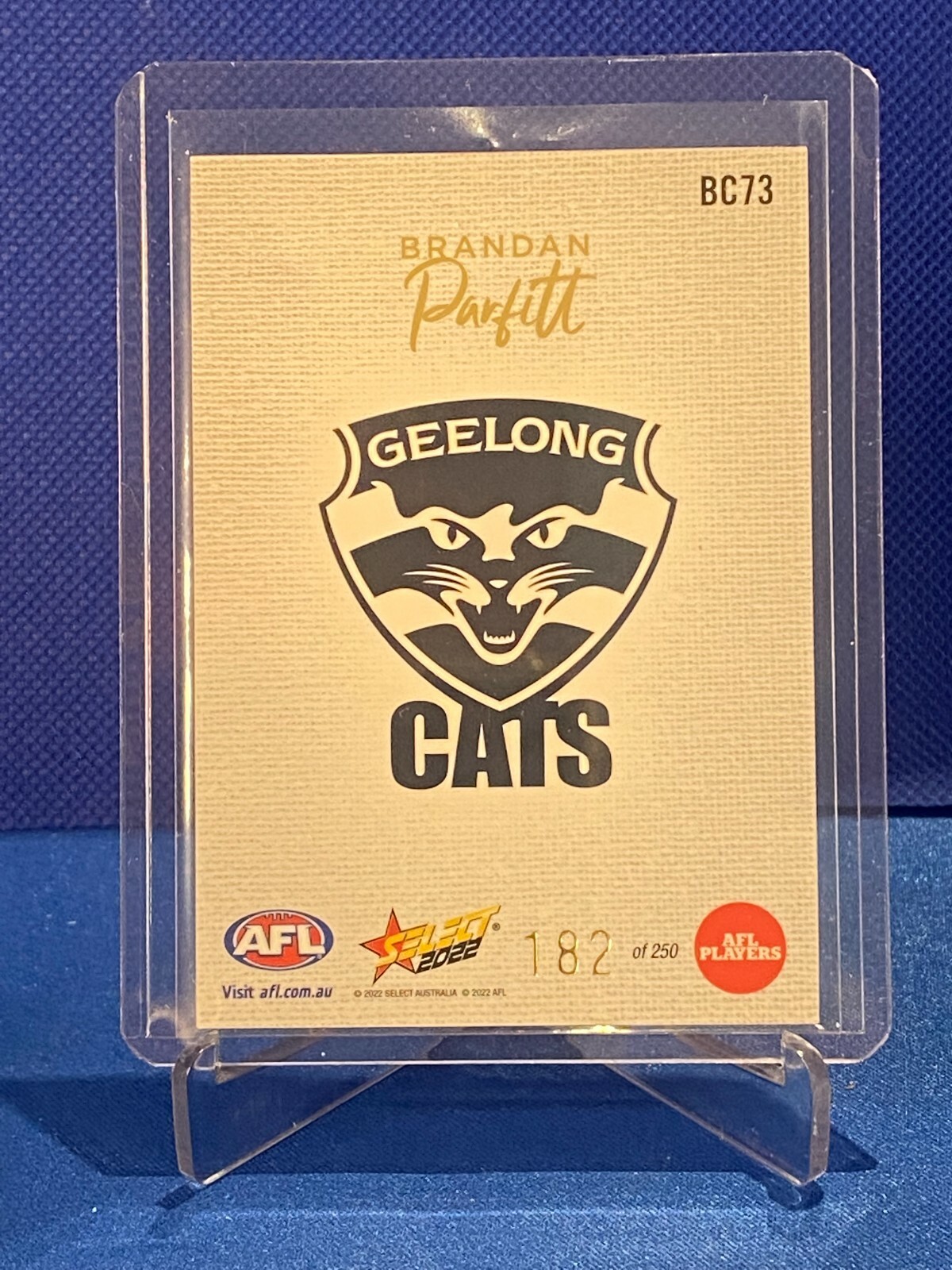 2022 AFL SELECT FOOTY STARS BLANK CANVAS - BRANDON PARFITT **182/250 ...