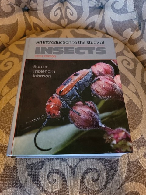 An Introduction to the Study of Insects by Charles A. Triplehorn ...
