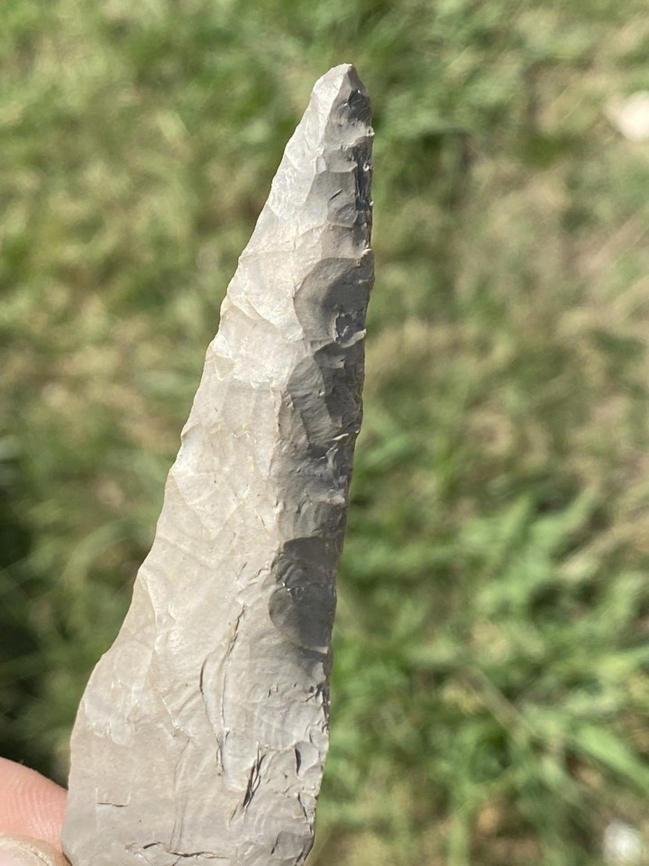 Group of Dalton arrowheads spearheads drill projectile points Maybe ...