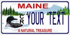 Maine Loon License Plate | eBay