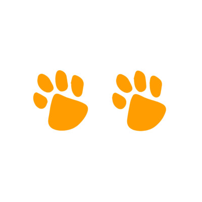 Orange Paw Prints (20-Pack) | eBay