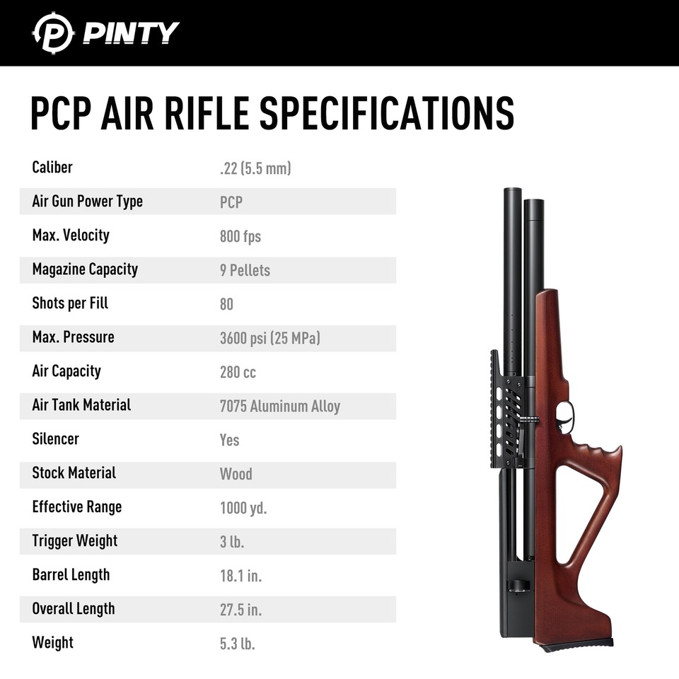 PINTY NEW PCP Pellet Gun 800 FPS Air Rifle .22 Caliber 9 Pellet Air ...