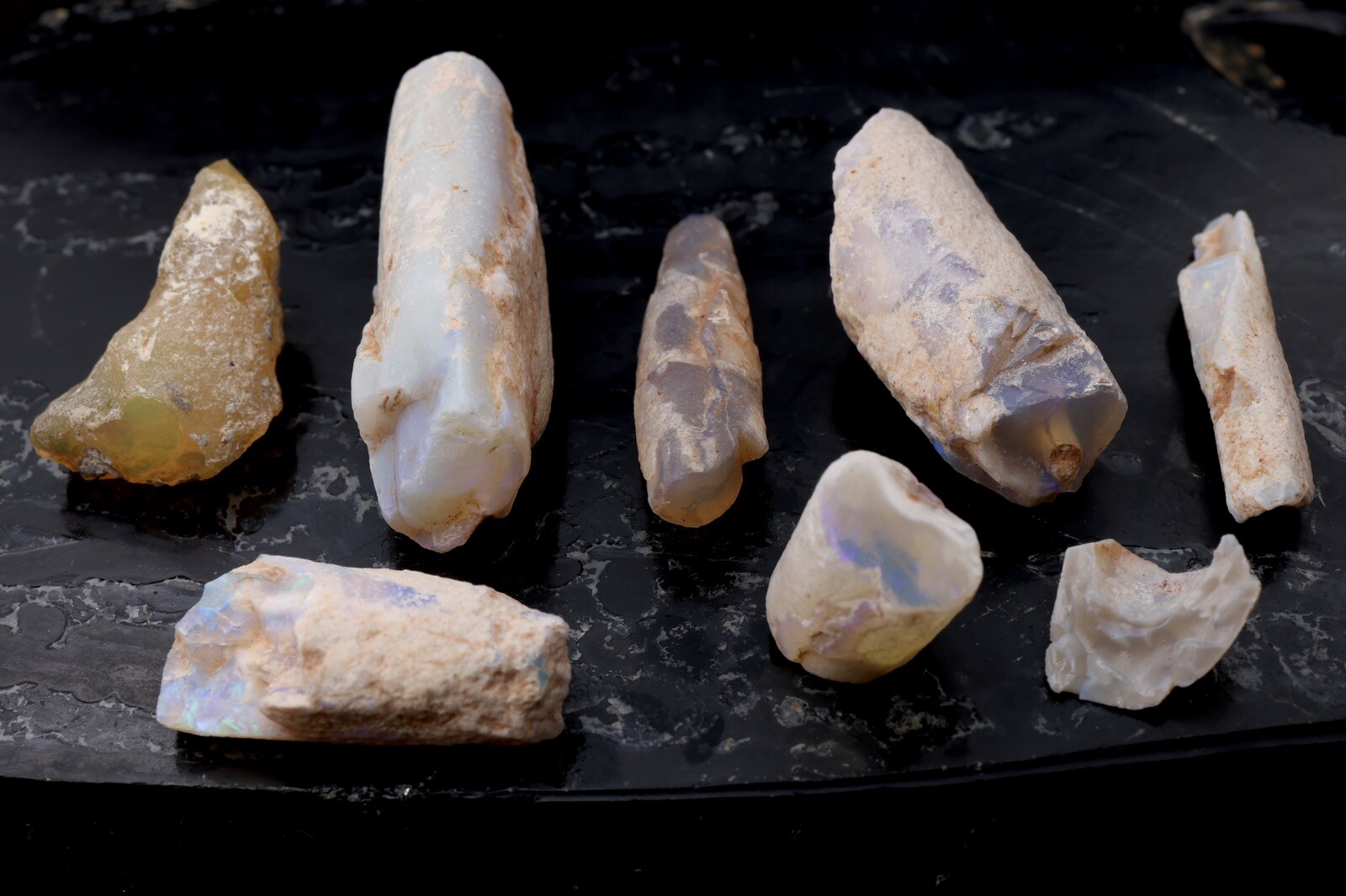 Opalized Belemnite Lot Opal Squid Fossil Pseudomorph From Coober Pedy ...