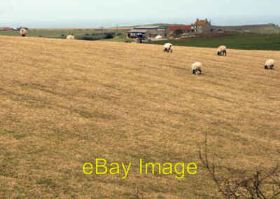 Photo 6x4 Hawsker Bottoms High Hawsker "Hawsker Bottoms" is the c2008 ...