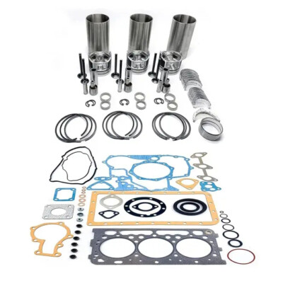 Overhaul Rebuild Kit for Isuzu 3AB1 Engine Hanik N-4 N-35 NC3000 ...