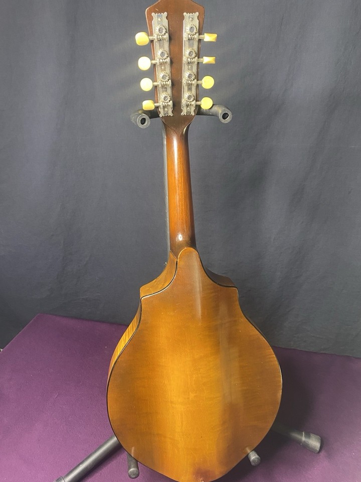 Vintage Vega Mandolin Tunnel Maple Body Spruce Top Great Condition | eBay