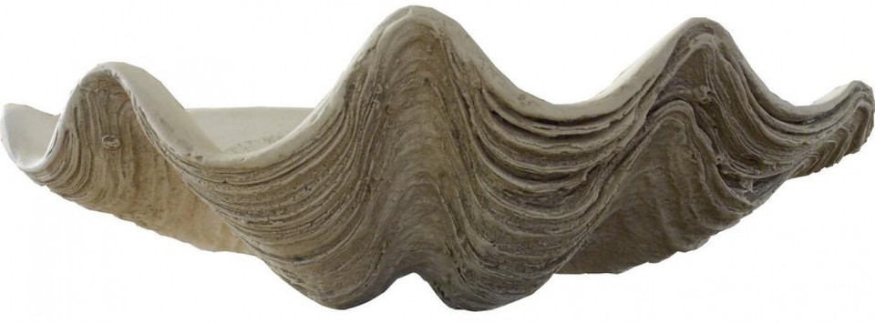 Large Clam Shell Centerpiece Display Tray Nautical Beach Coastal ...