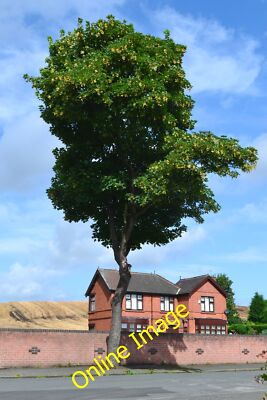 Photo 12x8 House and tree on Clough Road, Rotherham c2012 | eBay UK