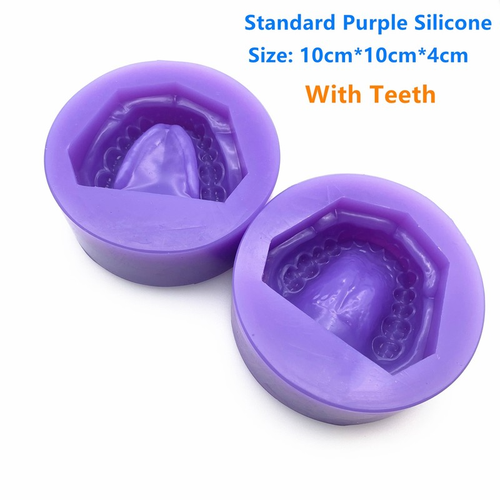 New Purple Dental Plaster Model Mold Mould of Edentulous Jaw Complete ...