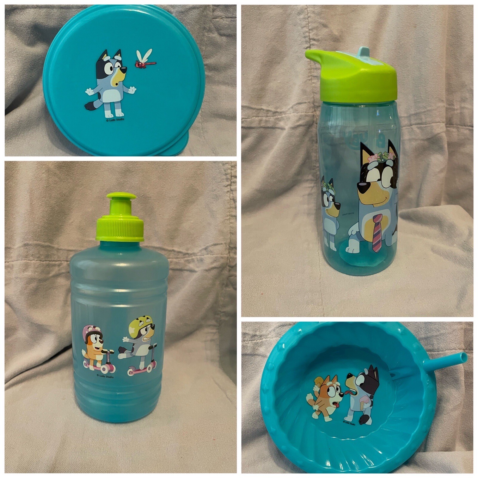 NEW Set of 4 Disney Bluey Water Bottles Bowl & Container Bluey Bingo ...
