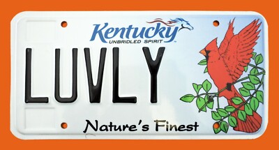 KENTUCKY CARDINAL BIRD GRAPHIC AUTO LICENSE PLATE " LUVLY " LOVELY ...