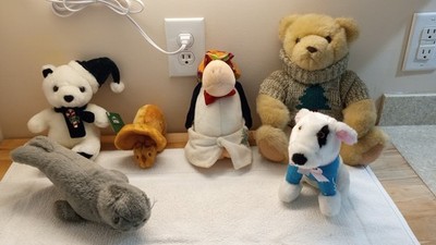 Small Mixed Lot Of Stuffed Animals | eBay