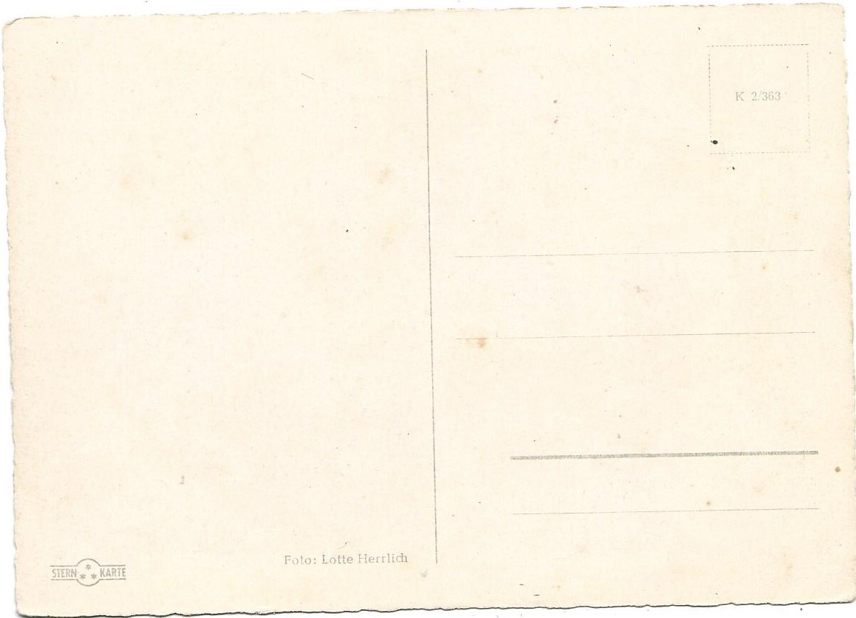 106/2 AK FOTO - FOTOKUNST LOTTE HERRLICH - "WILDFANG" - KIND FRISUR ...