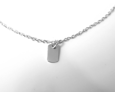 Sterling Silver 12mm Small Dog Tag Pendant on Fine Chain Necklace ...