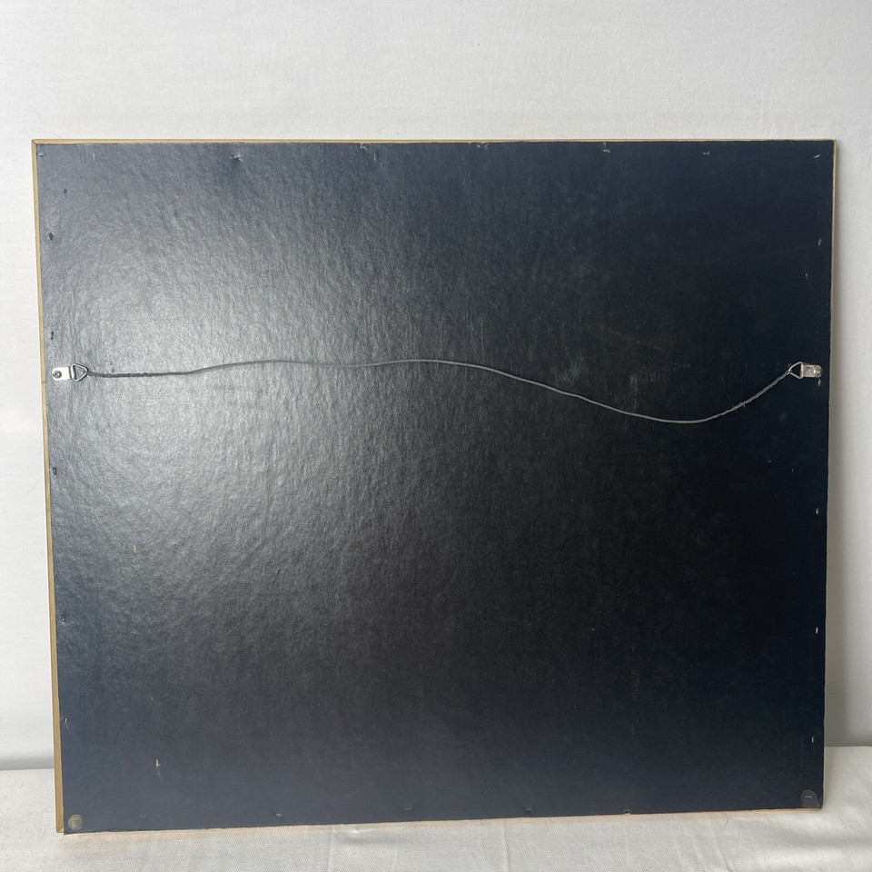 2002 113th Tournament of Roses Pin Set Framed Regis Philburn IN N OUT ...