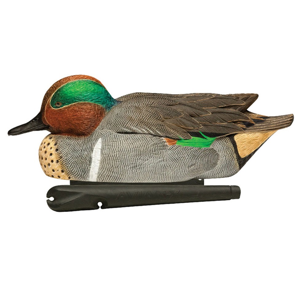 Avian X Blue Winged Teal Decoys Bundled with Floating Green-Winged Teal ...