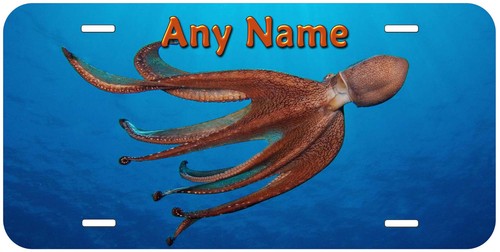 Octopus Any Name Personalized Novelty Car License Plate | eBay