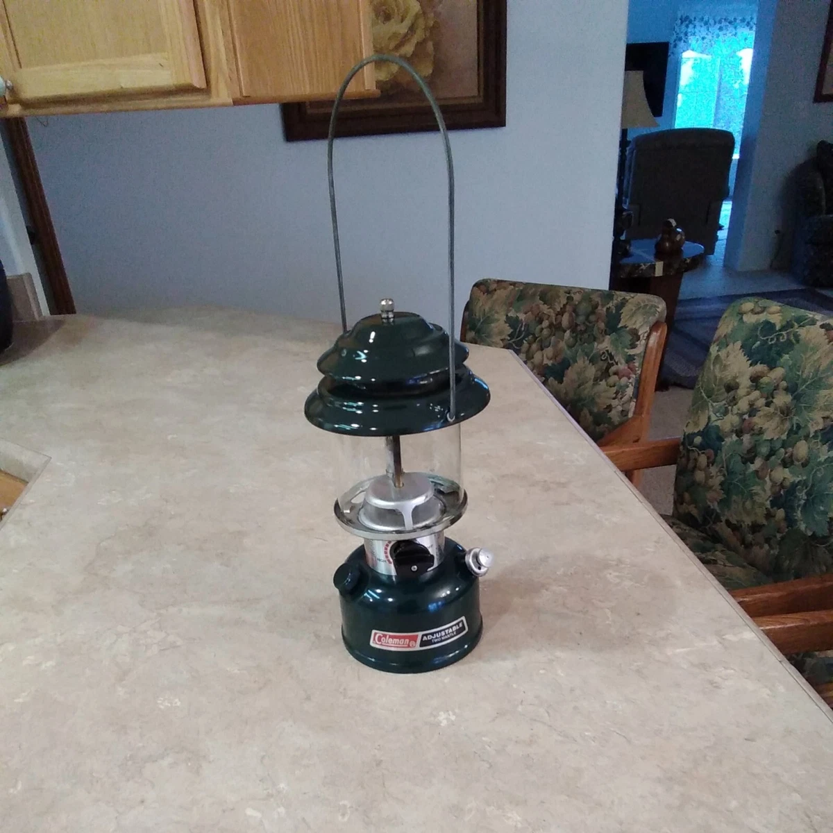 Vintage 1985 Coleman Green CL2 Adjustable Model 288 Double Mantle Lantern 05/91 海外 即決-