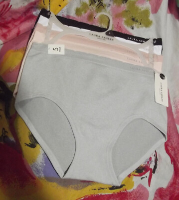 5 NEW LAURA ASHLEY LS8550 5PKAE MICROFIBER SEAMLESS BRIEF PANTIES L | eBay