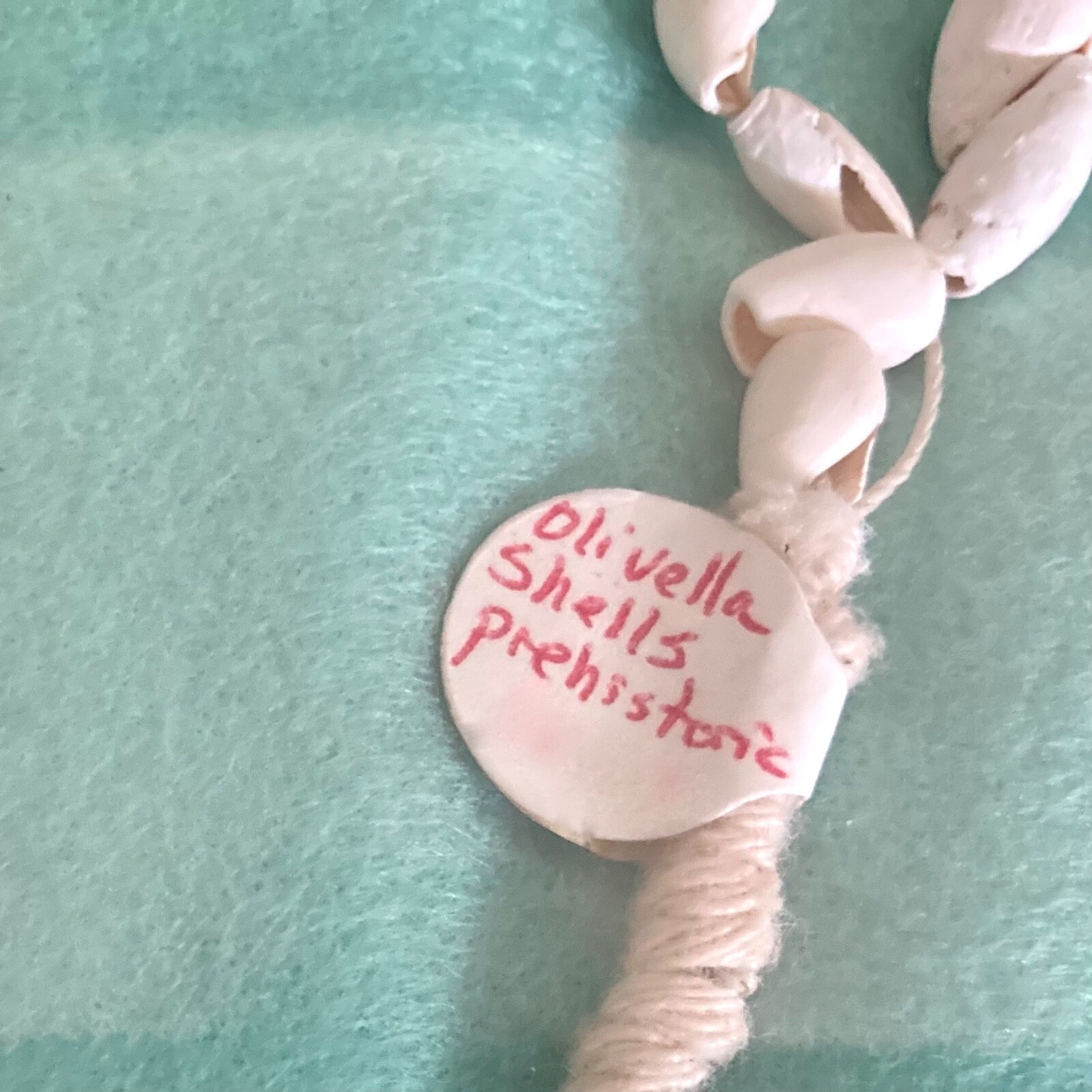 Orig. Chumash Olivella Shell Bead 2 Strand Necklace Ea Strand 30"Appx ...
