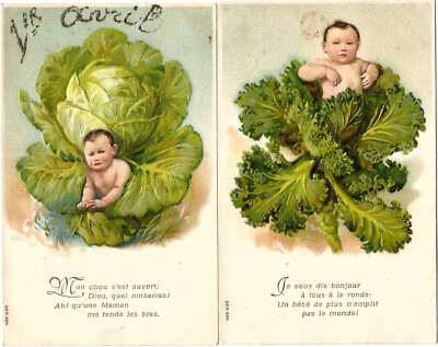 2 CPA Bébés sortant d'un choux.En relief et postées en 1907. | eBay