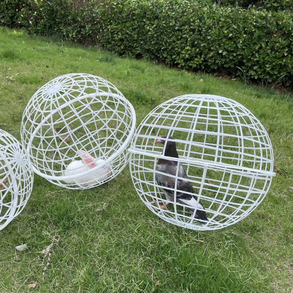 Pet Activity Sphere Duck Roaming Rollable Ball Shaped Chicken Mobile ...