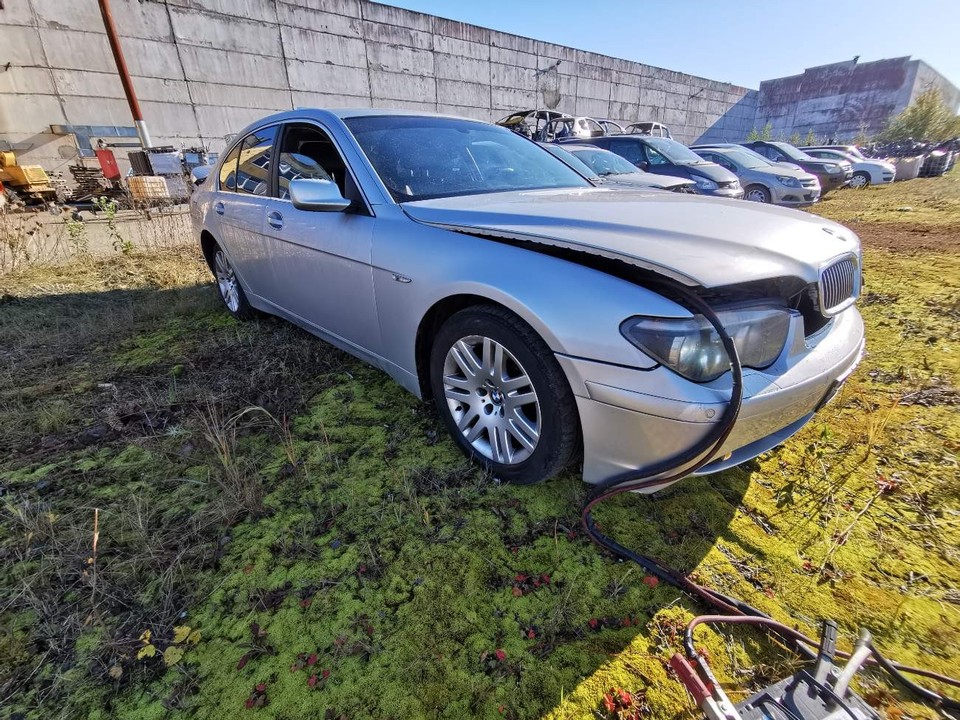 60829010 8223552 7051872 Interior door step trim - FRONT RIGHT f ...