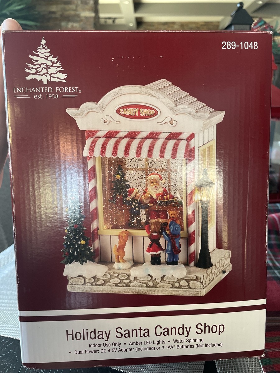 Enchanted Forest Lighted Santa Blowmold At Menards