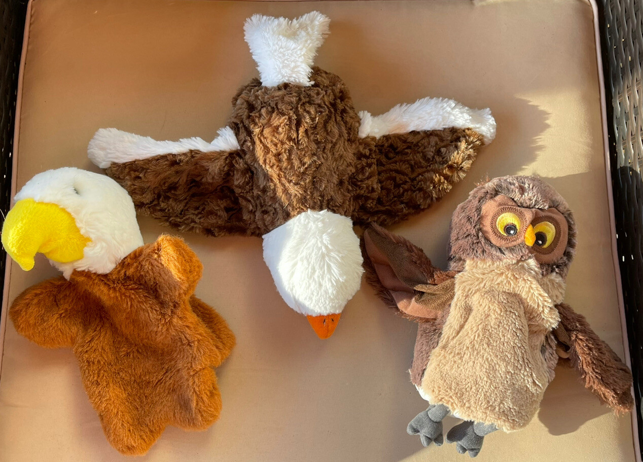 Caltoy Eagle Full Body Hand Puppet With Another Eagle And Owl Puppets ...