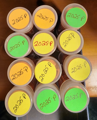 2025 P PENNY ROLLS, LOT OF 12, ONLY 1 LOT AVAILABLE BU TAKEN FROM ...
