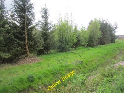 Photo 6x4 Woodland, North Kinkell Trinity Gask Drainage ditch and ...