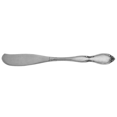 Oneida Silver Chatelaine Flat Handle Butter Spreader 490216 | eBay