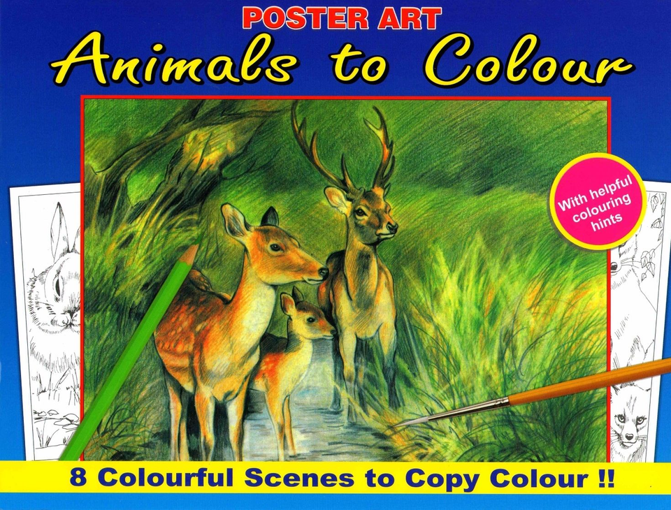Adult Colouring Books Pro Advance Level Artist Expert Quality Painting ...