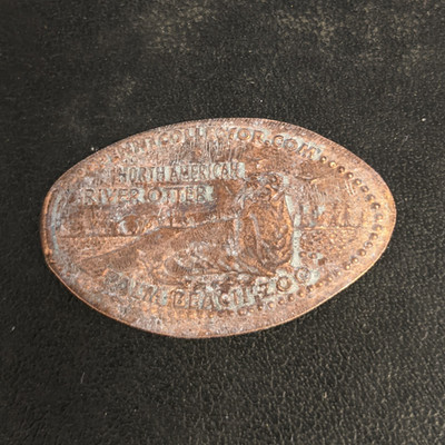 NORTH AMERICAN RIVER OTTER Palm Beach Zoo - Press Coin Elongated Penny ...