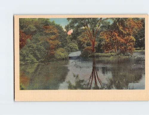 Postcard Nature Lake Scenery | eBay