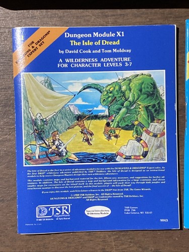 Miniature Expert Set Box 21st Century Dungeons & Dragons TSR | eBay