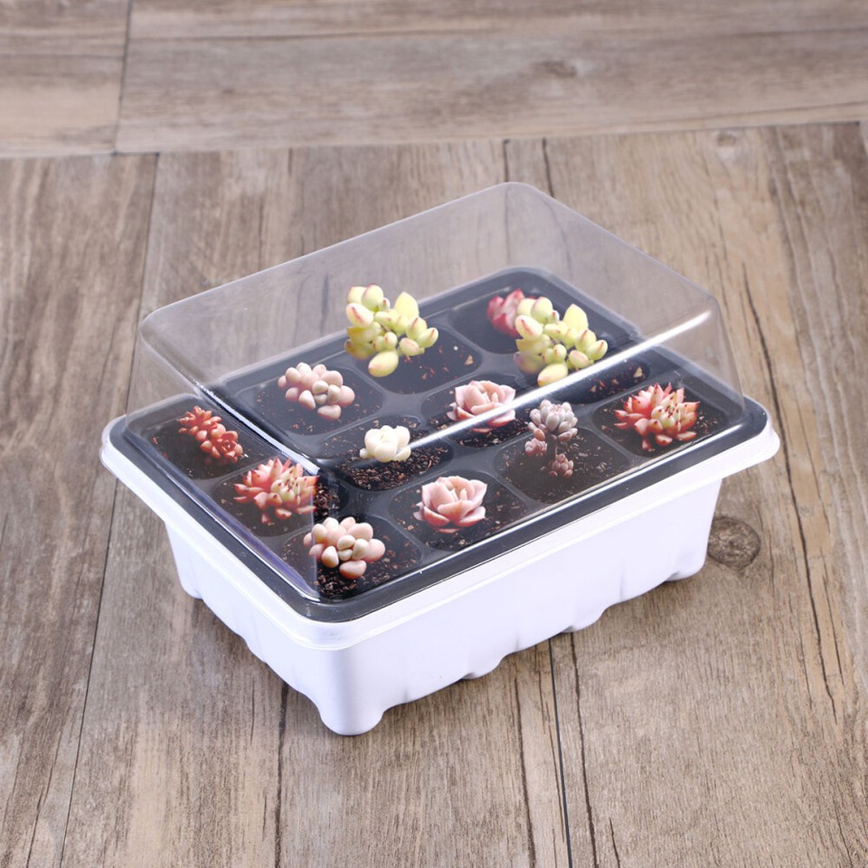 10X Starter 12 Starting Plant Propagation Tray Dome Gardenin Kit | eBay