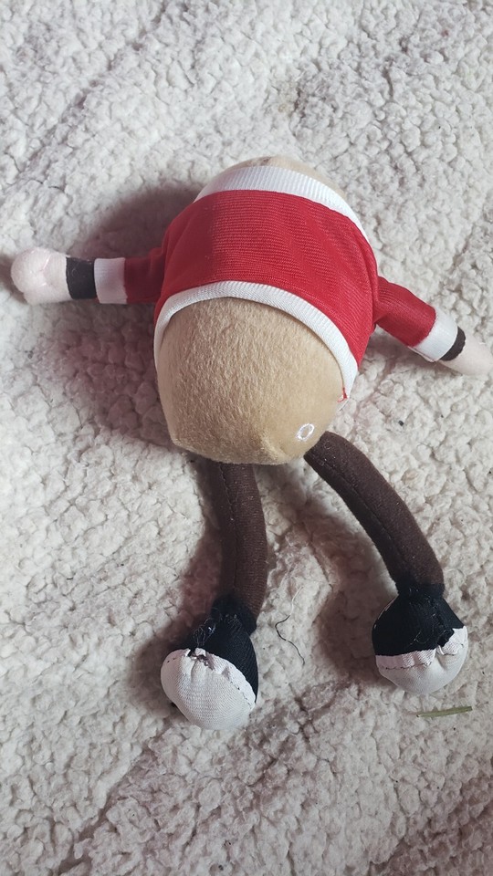 Idaho plush Spuddy Buddy 5 Plush Collectible souvenir famous potatoes ...