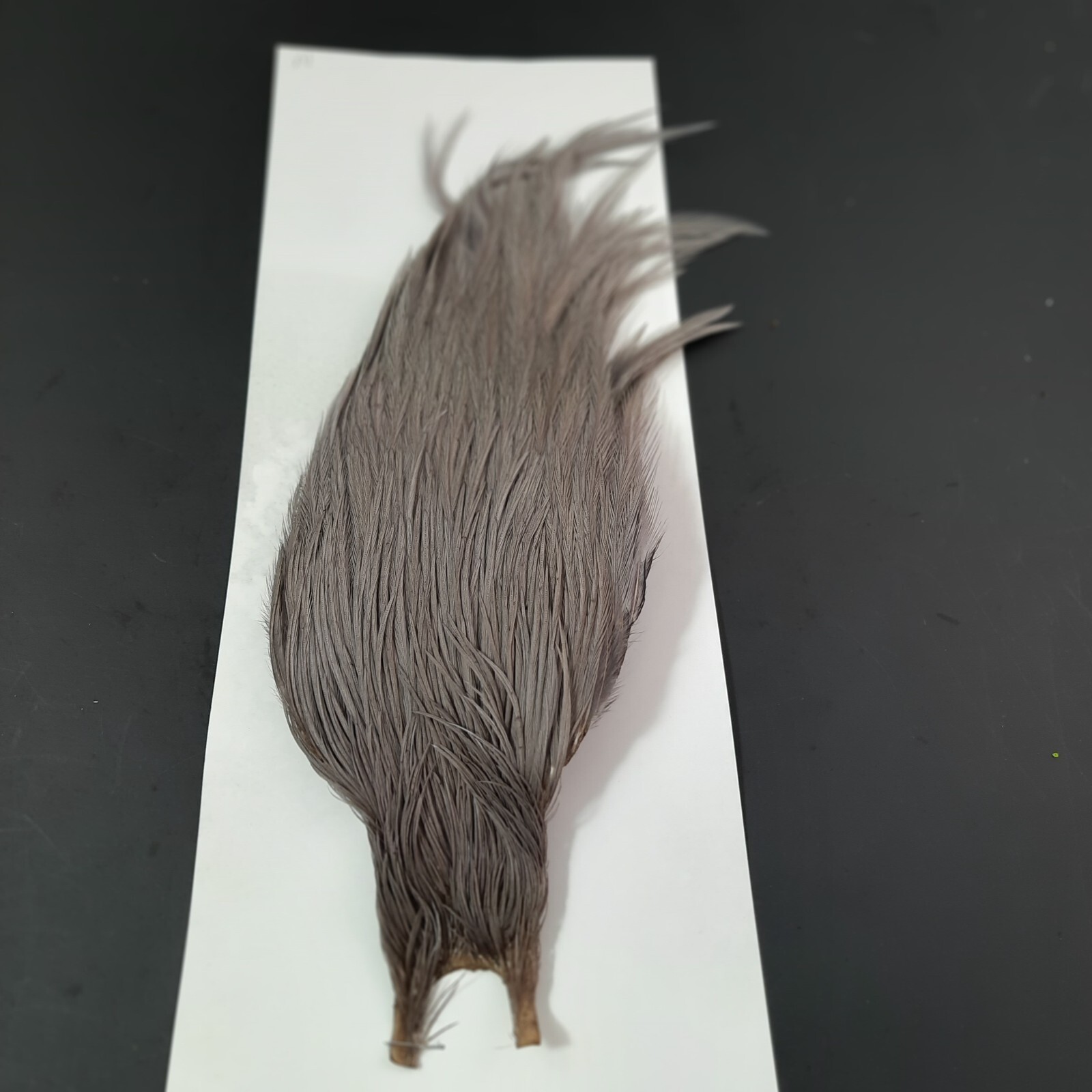 Dry Fly Hackle Cape Neck Grizzly, Cream, Olive, Blue Dun, Olive Dun ...