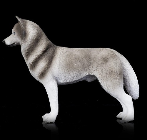 Siberian Husky Dog Animal Toy 5 Inch PVC Action Figure Doll Kids Toys ...