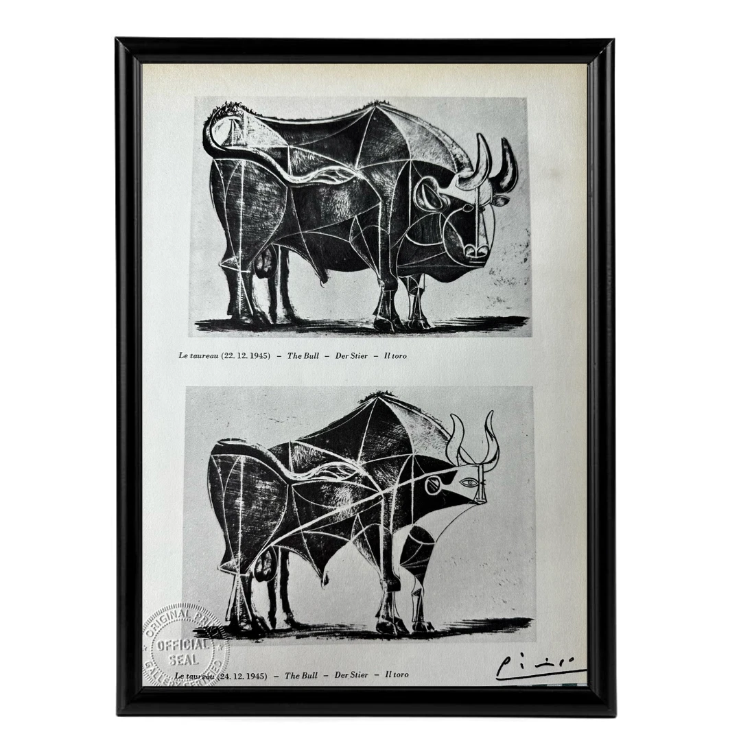 Picasso Bull Drawings
