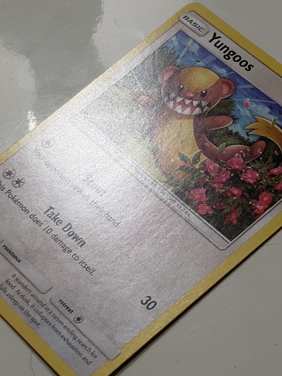Yungoos 112/156 Ultra Prism Sun & Moon Pokemon Card - $2 Combined ...