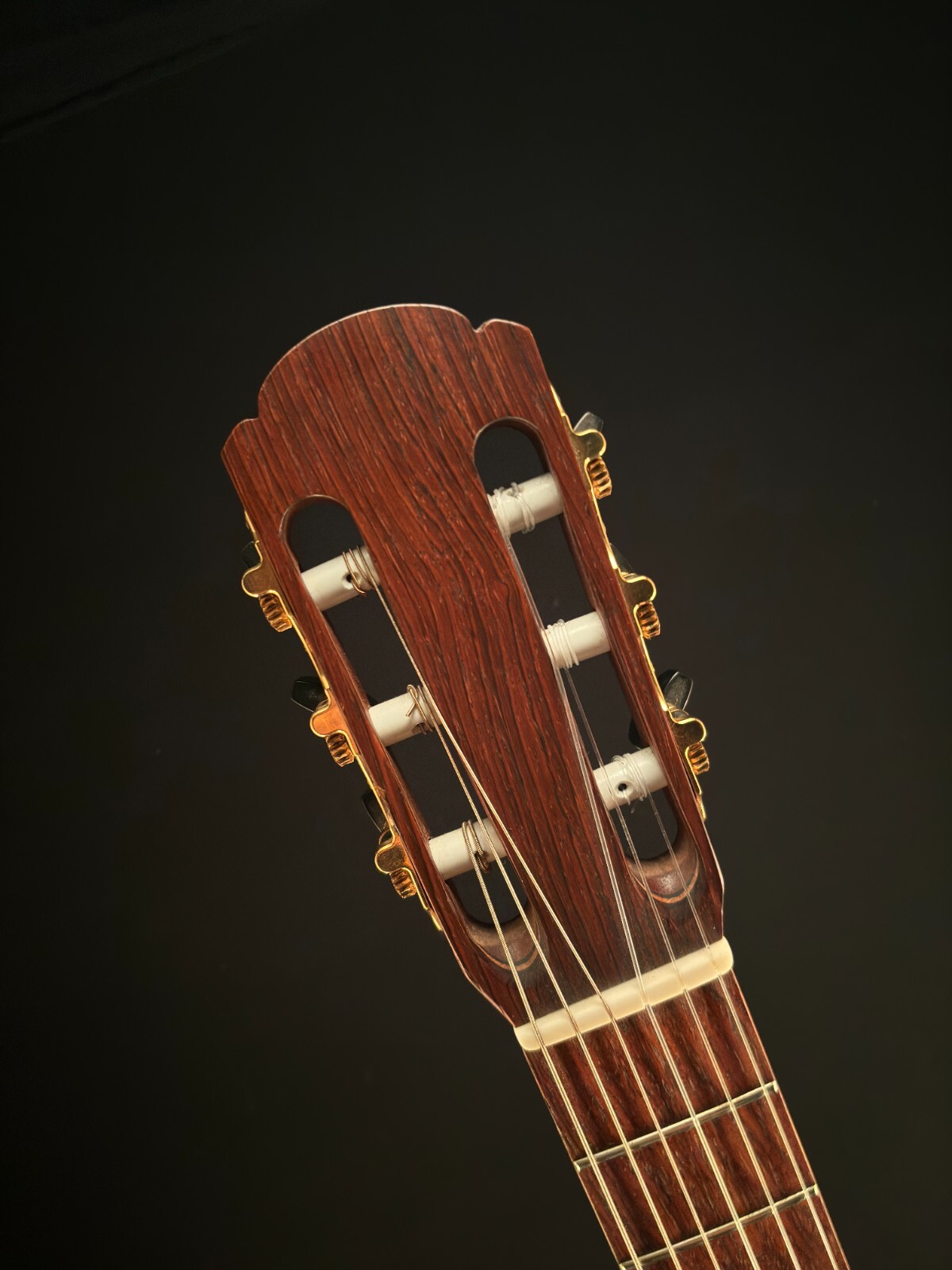 2001 Jamon Zeiler "California Condor" Acoustic "Electric" Nylon String ...