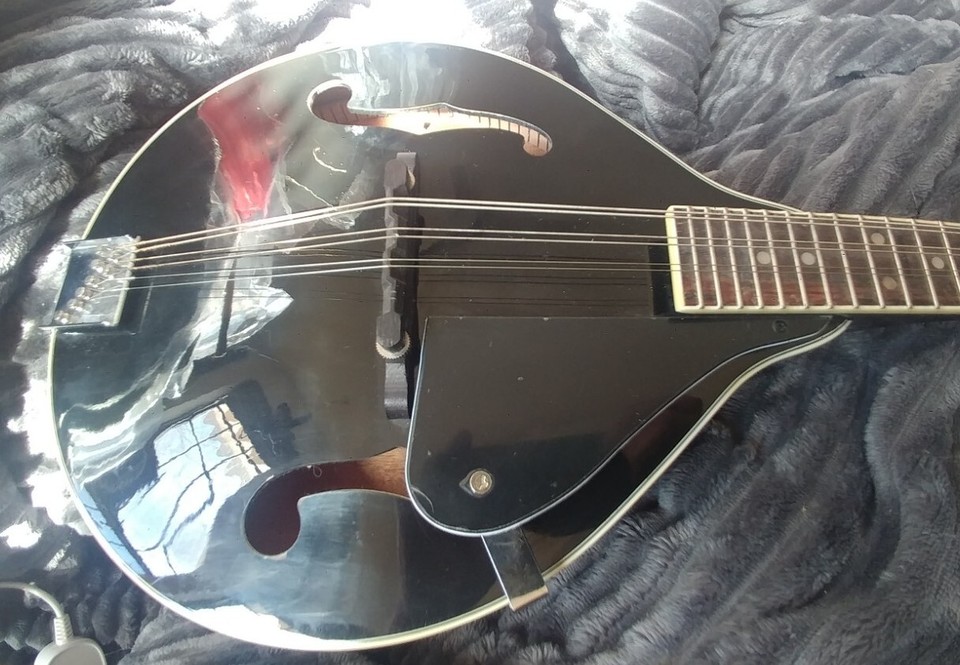 Rogue Fine Instrument RM-100A Acoustic 8 String Mandolin Guitar | eBay