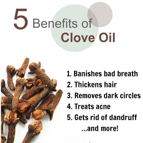 Clove Essential Oil for Diffuser – 100% Pure & Natural 10ml–5000ml, | eBay