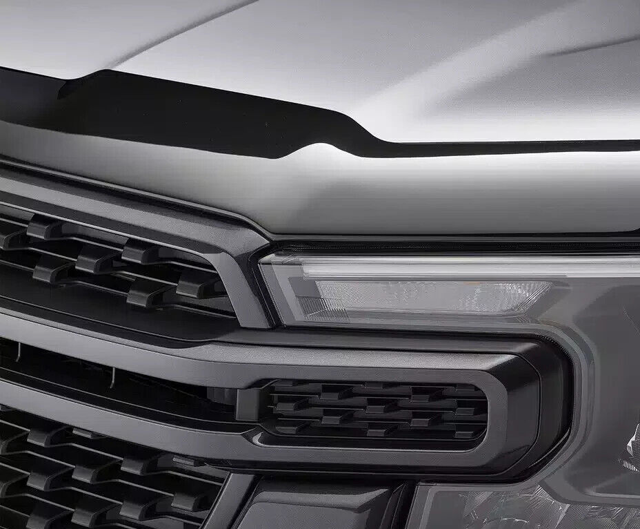 AVS Aeroskin Flat Hood Protector Bug Shield Deflector for 2019-2023 ...